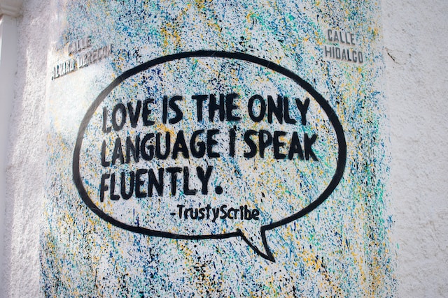 What is Language? – Language Lovers